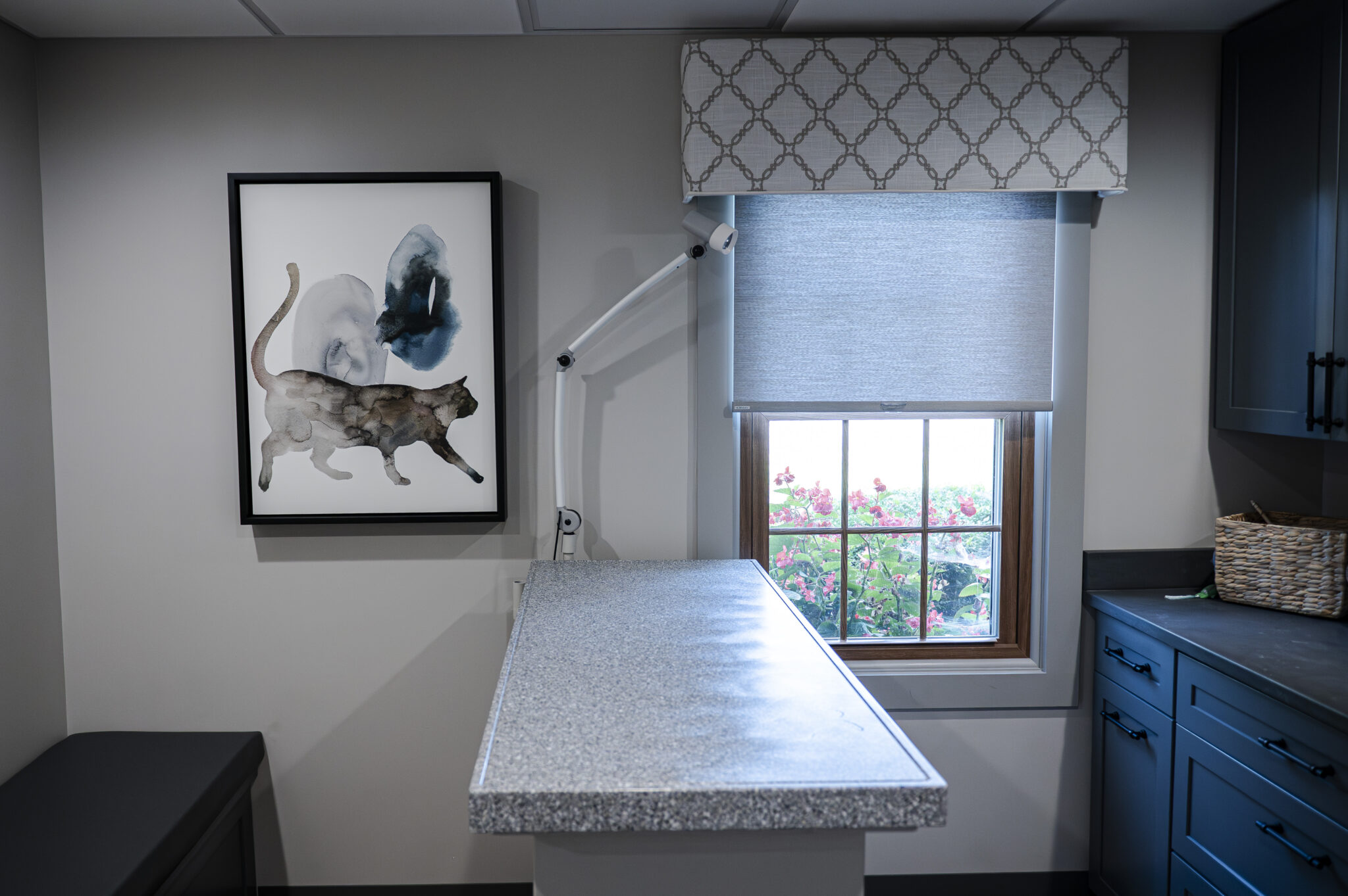 Vet Clinic Exam Room | KP Designs Group