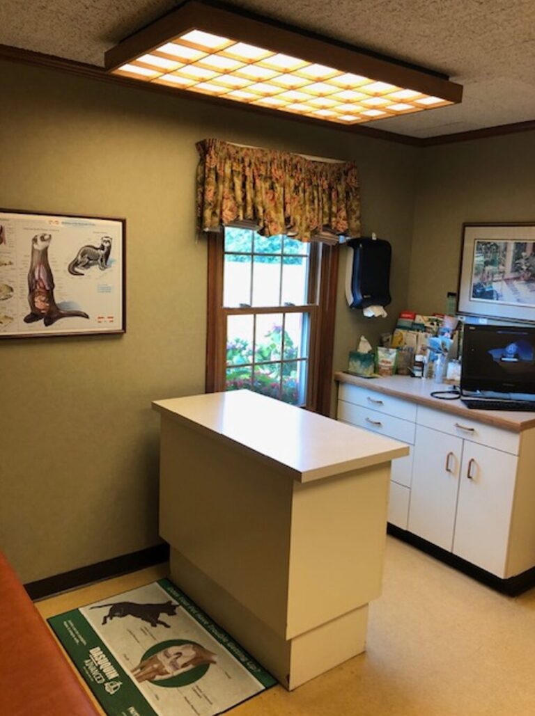 Vet Clinic Exam Room | KP Designs Group